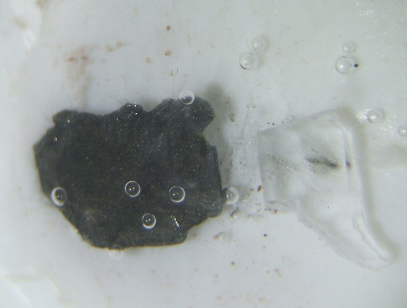 Techniques for Collectors : Calcite-aragonite test