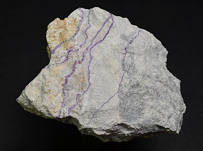 04449750017418049349670.jpg?cachekick=1