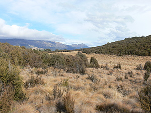 Wairauite: Mineral information, data and localities.