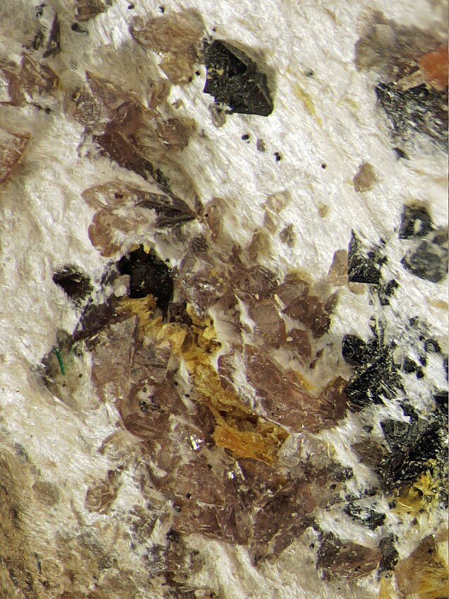 Hodgkinsonite, Zincite, Sussexite, Hetaerolite