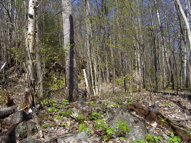 Ruby Mine, Ashby Township, Addington Highlands Township, Lennox and ...