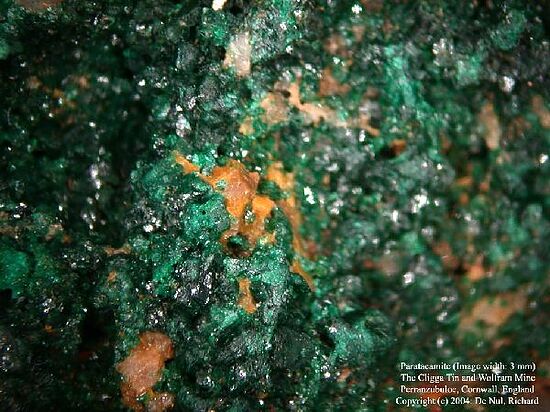 Paratacamite: Mineral information, data and localities.
