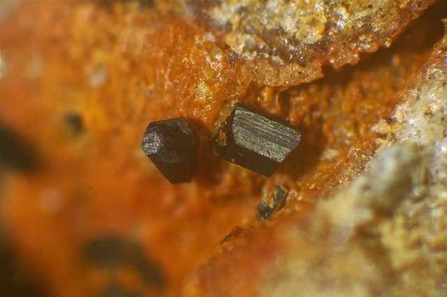 Richterite
