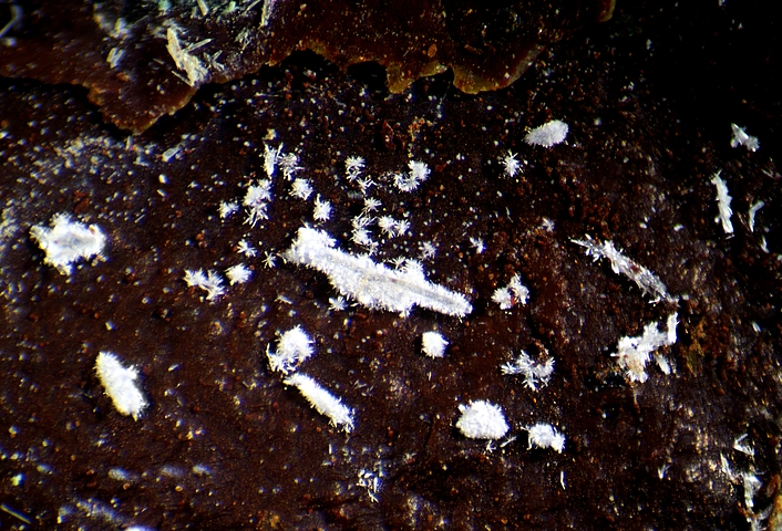 Champion Copper Mine, Aniseed Valley, Nelson Region, New Zealand