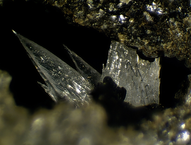 Te Henga Road quarry, Waitakere Ranges, Auckland Region, New Zealand