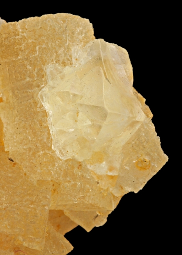 Sylvite, Halite