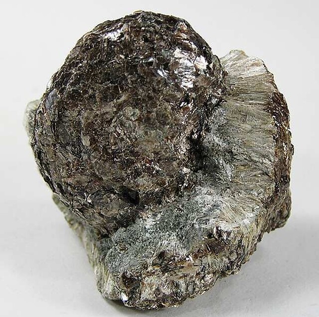 Anthophyllite, Phlogopite