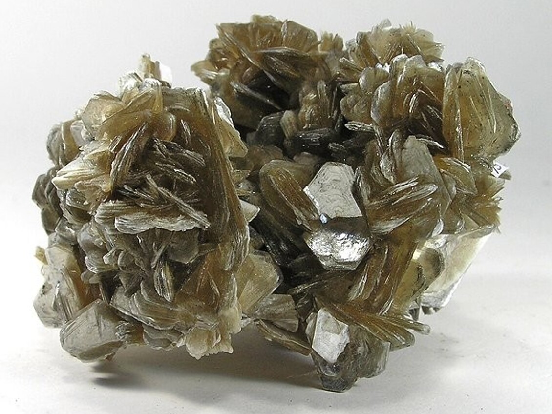 Muscovite