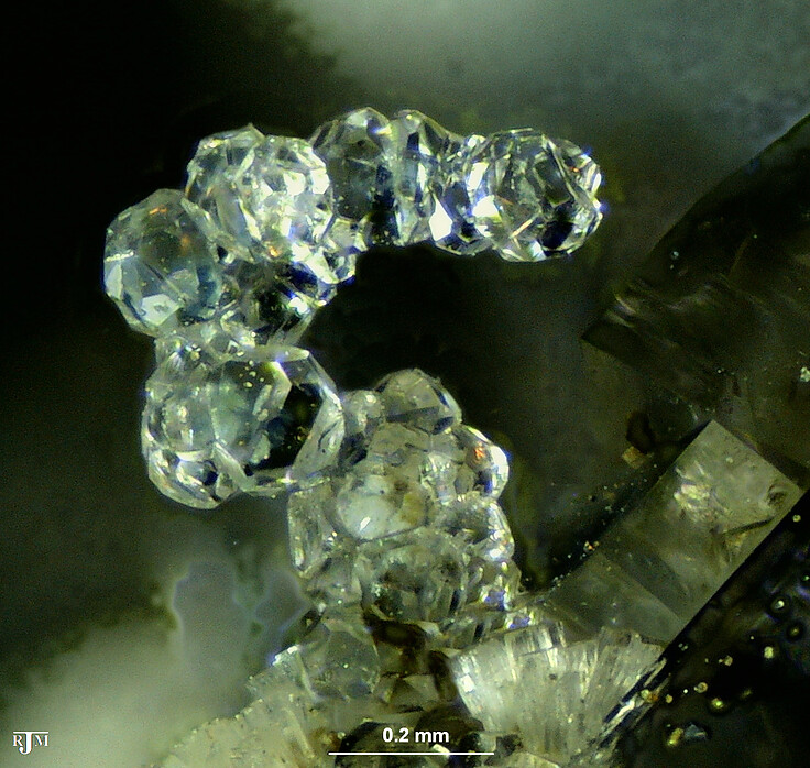 Te Henga Road quarry, Waitakere Ranges, Auckland Region, New Zealand