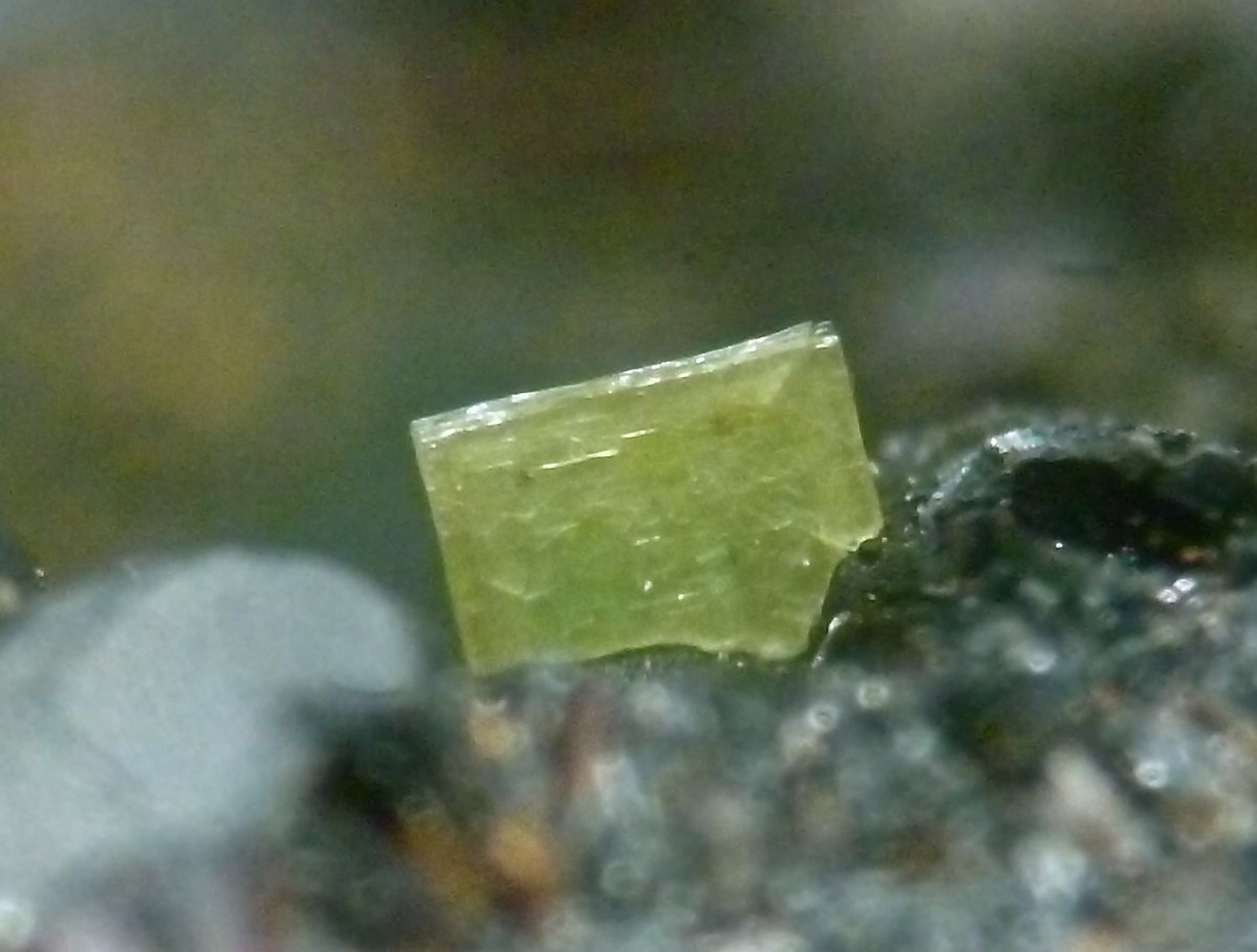 Field Collecting : Geiger counter suggestions, and how to use measurements?