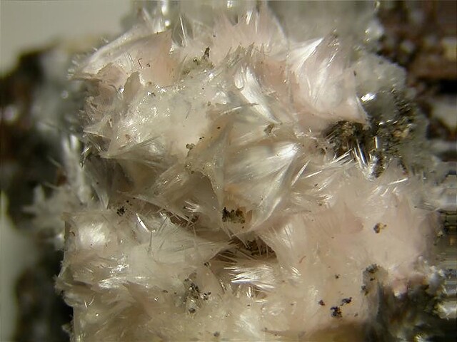 Pickeringite: Mineral information, data and localities.