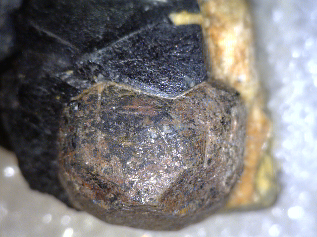 Kimzeyite, Magnetite