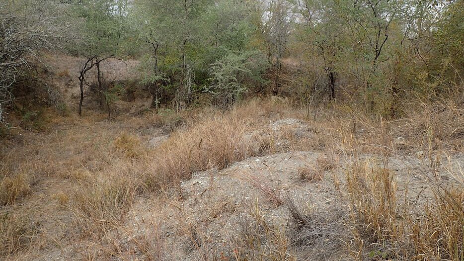 Chiredzi mining district, Chiredzi District, Masvingo, Zimbabwe