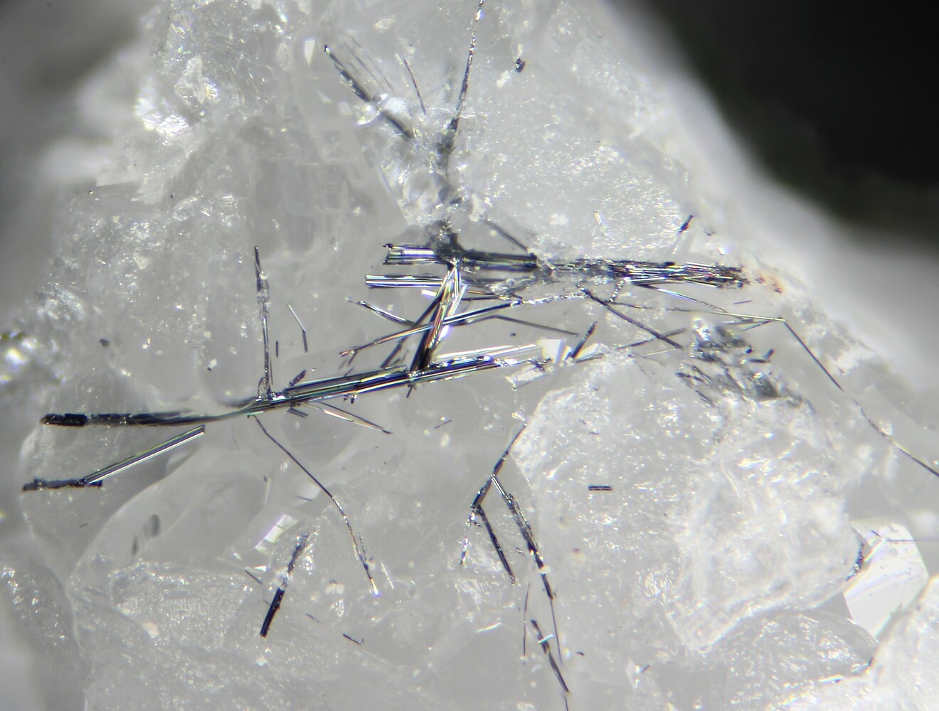 Bernarlottiite: Mineral information, data and localities.