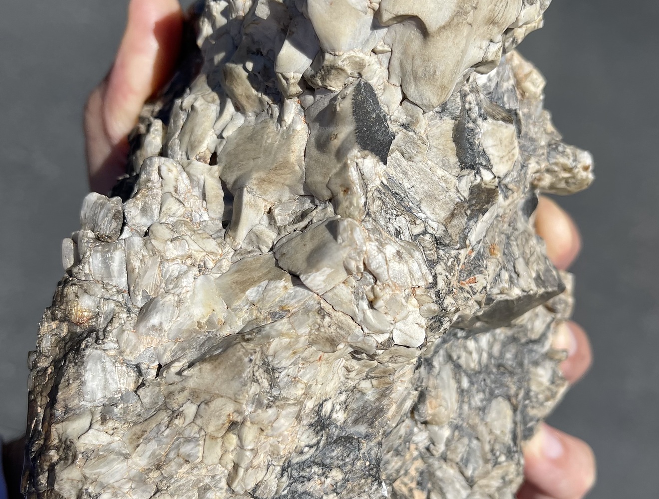 Aubrite meteorite: Mineral information, data and localities.