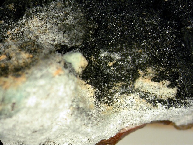 Kopeysk, Chelyabinsk Oblast, Russia