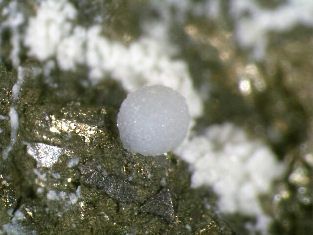 Alfredopetrovite: Mineral information, data and localities.