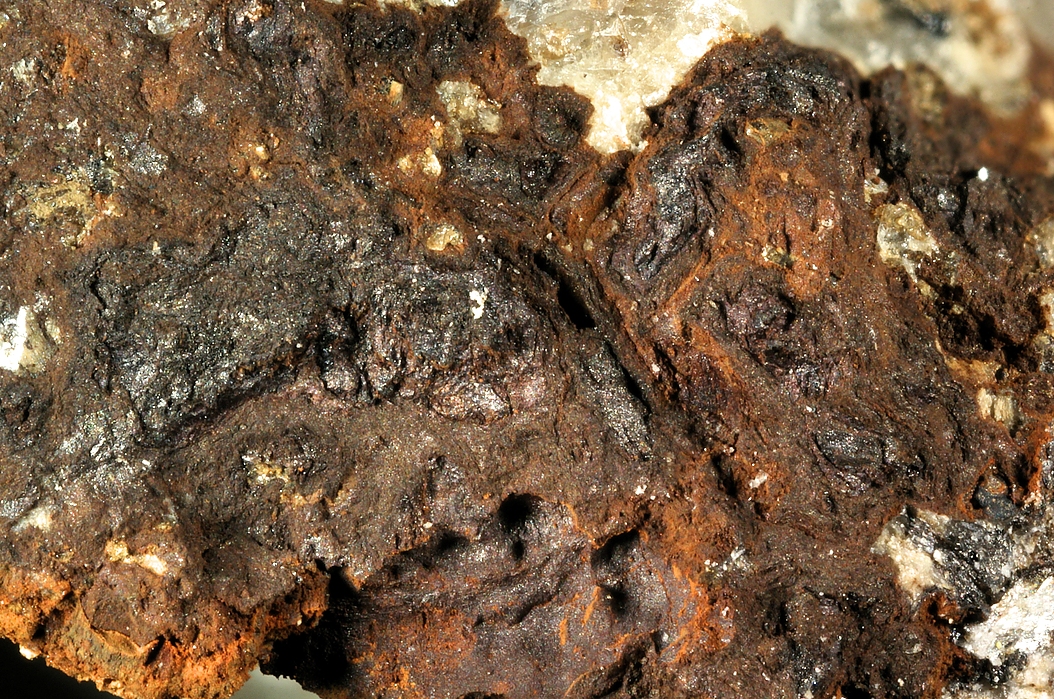 Vernadite: Mineral information, data and localities.