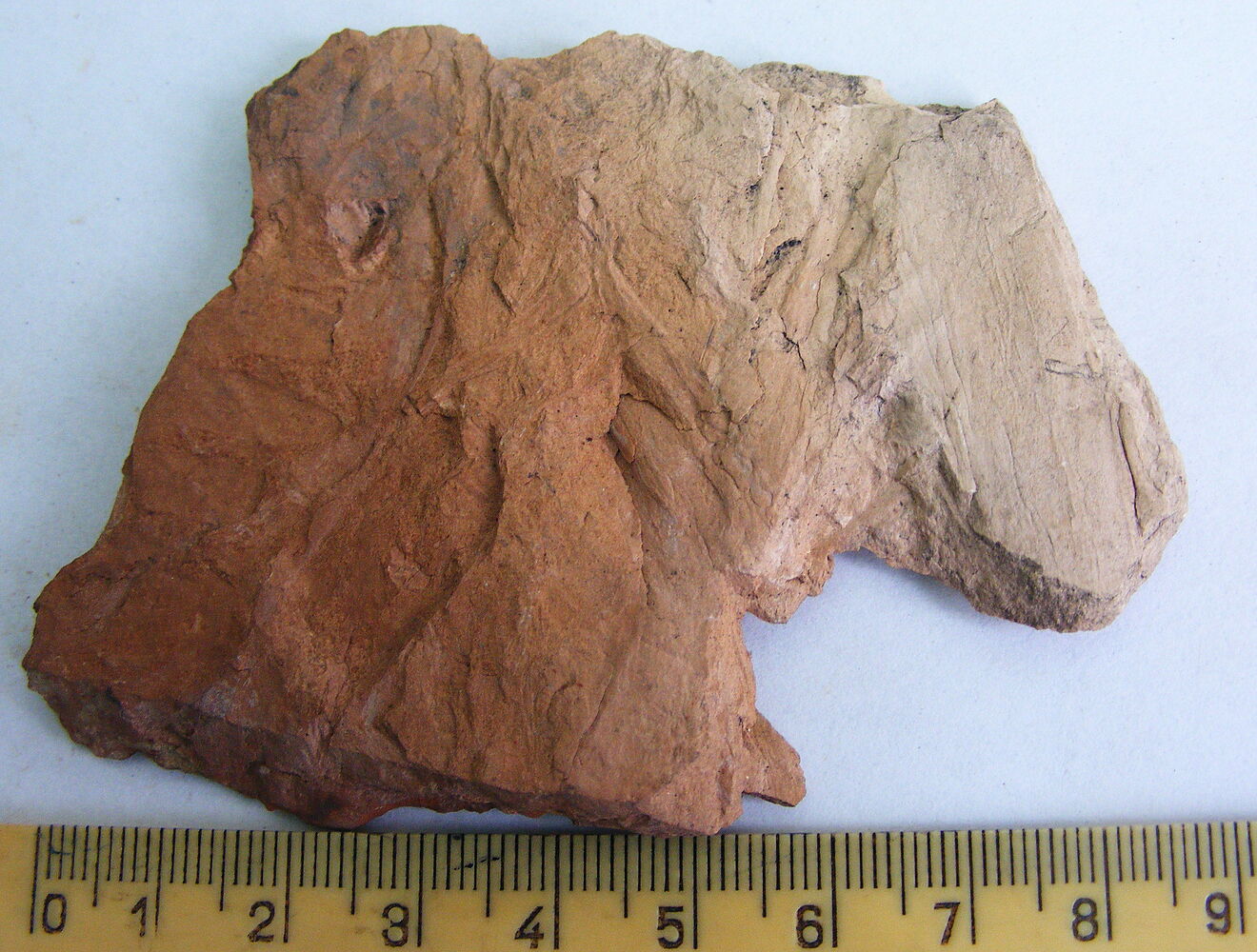 Pyrometamorphic rock: Mineral information, data and localities.