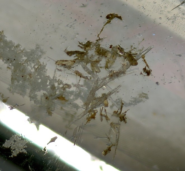 Thortveitite, Xenotime-(Y), Quartz, Fluorite