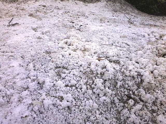 Thénardite, Mirabilite