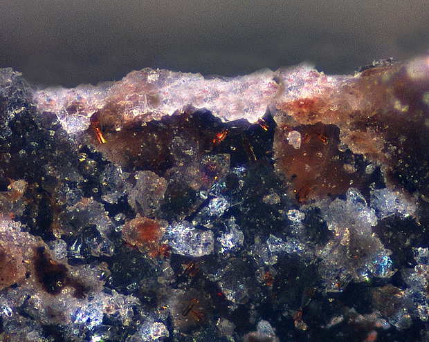 Ne, Genoa, Liguria, Italy