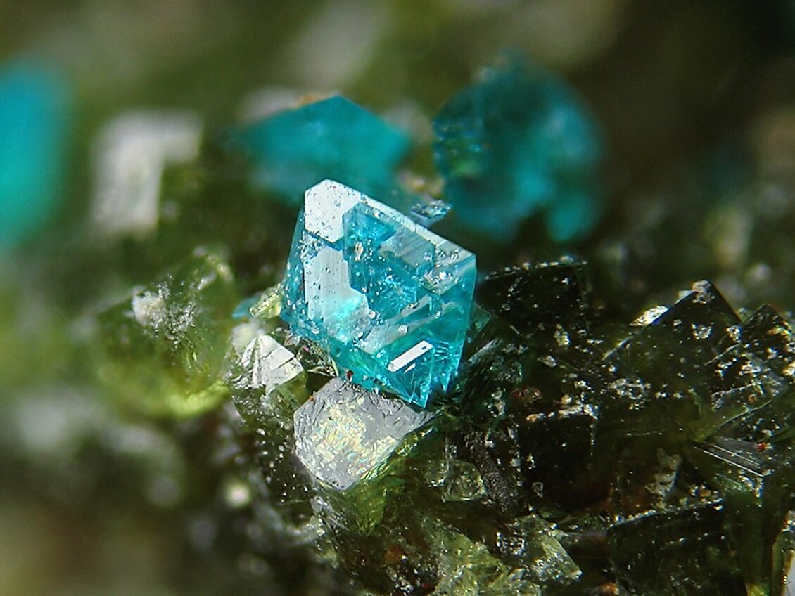 1,5 mm crystal, minor matrix – Photo and collection François Périnet