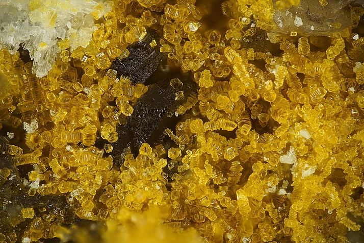 Alcaparrosa Mine, Sierra Gorda, Antofagasta Province, Antofagasta, Chile