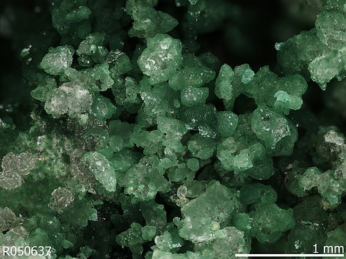 01011780017395864839859.jpg?cachekick=1