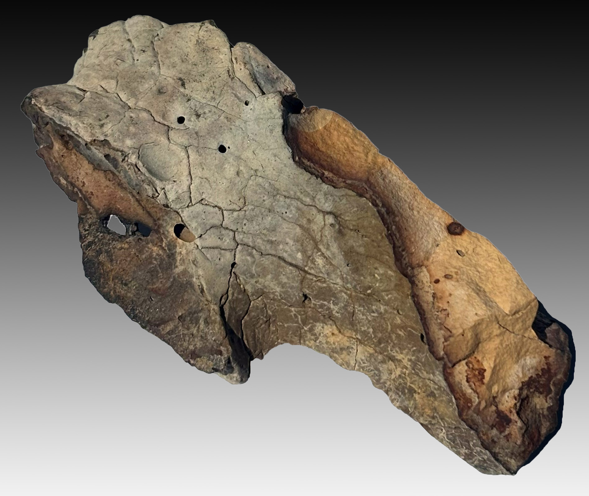 General : Strong crude oil-like smell from marl and HCl