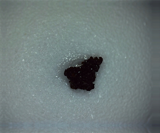 Kopeysk, Chelyabinsk Oblast, Russia