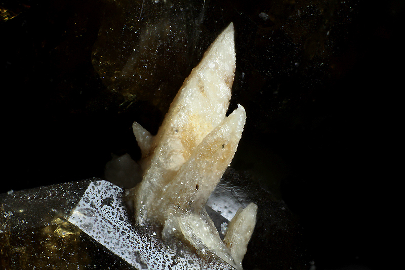 Mount Somma, Metropolitan City of Naples, Campania, Italy