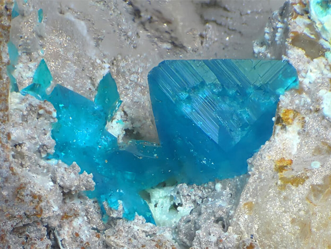 1,5 mm crystal, minor matrix – Photo and collection François Périnet