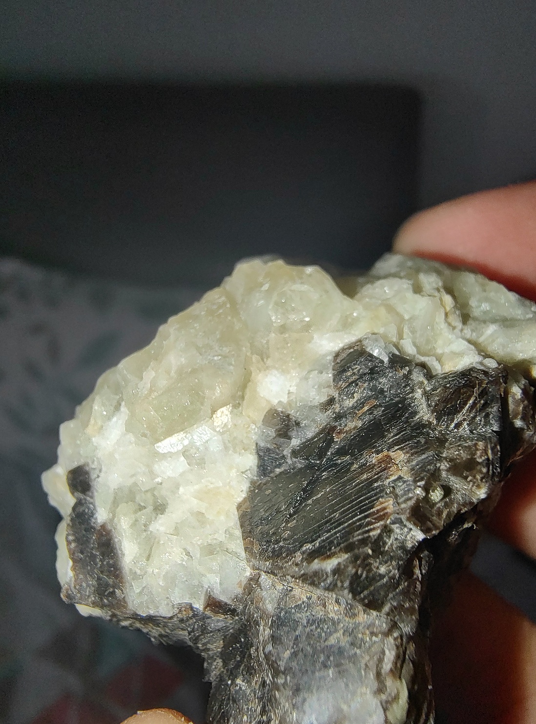 Identity Help : Hedenbergite with what?