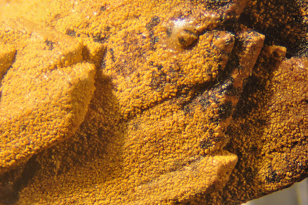 Linópolis, Divino das Laranjeiras, Minas Gerais, Brazil