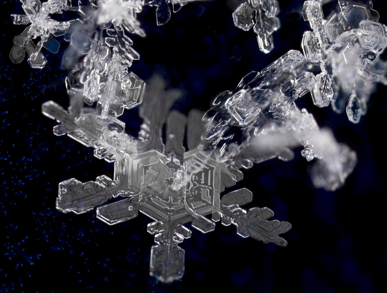 Photos : Ice - Ottawa, Gloucester Co., Carleton Co., Ontario, Canada