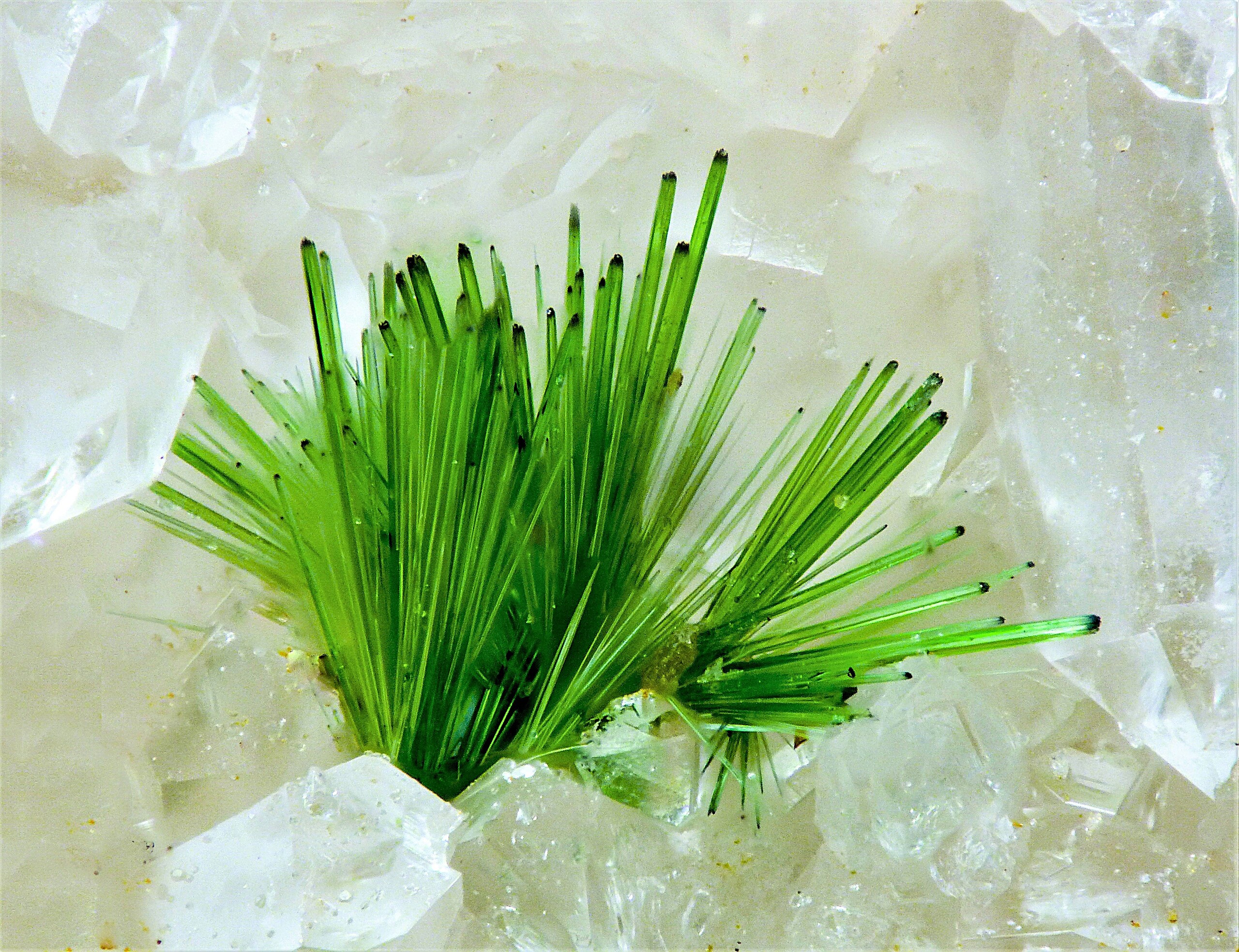 Mindat.org - Mines, Minerals and More