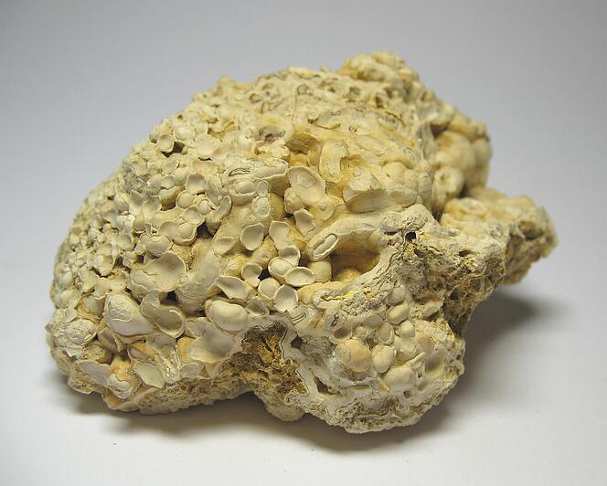 Pisolite: Mineral information, data and localities.