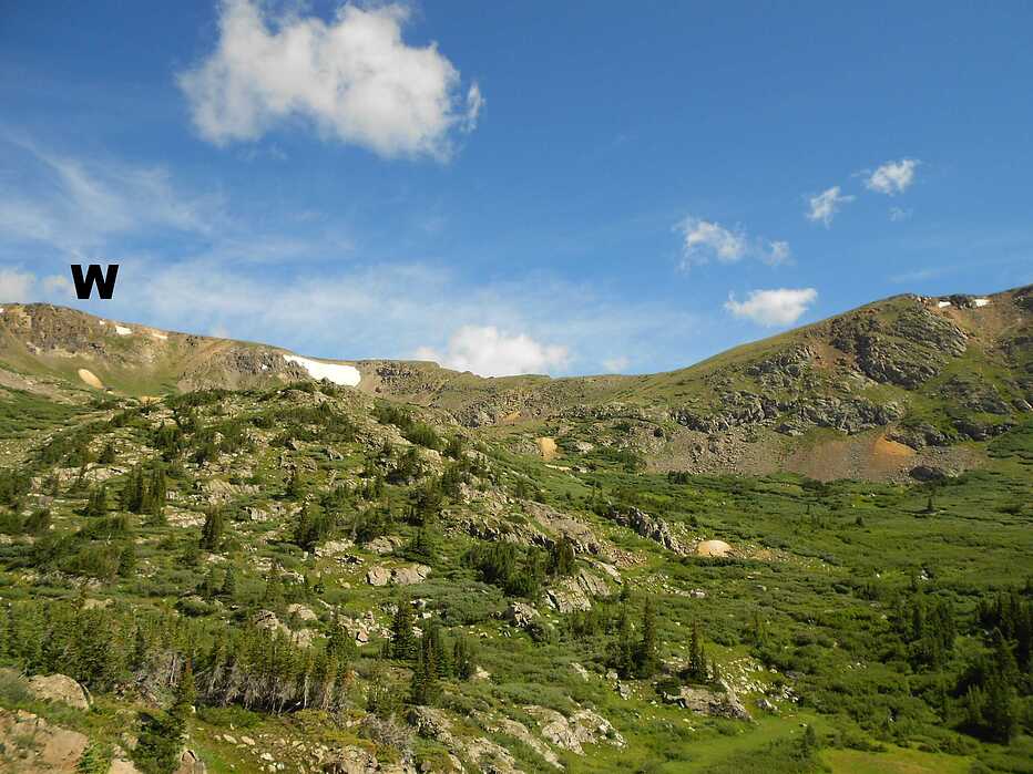 Whale Mine, Montezuma Mining District, Park County, Colorado, USA