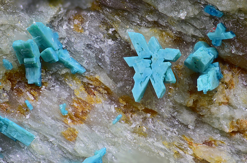 04697380017362034955768.jpg?cachekick=1