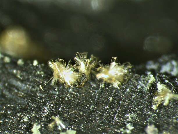 Giveway-Simplot Mine, Red Canyon Mining District, San Juan County, Utah ...