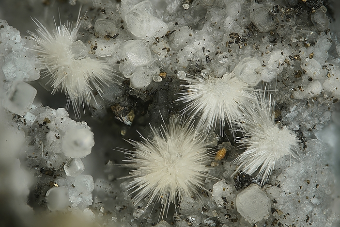 Francon quarry, Montréal, Québec, Canada
