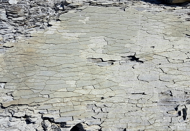 Lime-mudstone: Mineral information, data and localities.