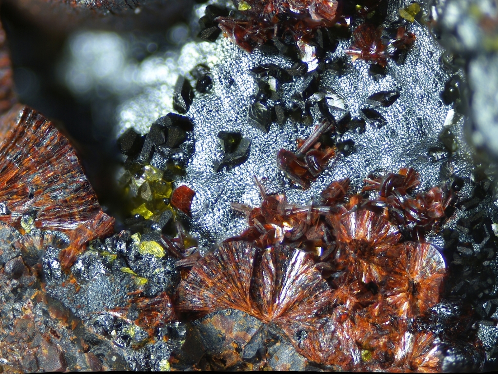 © Christian Rewitzer 2008