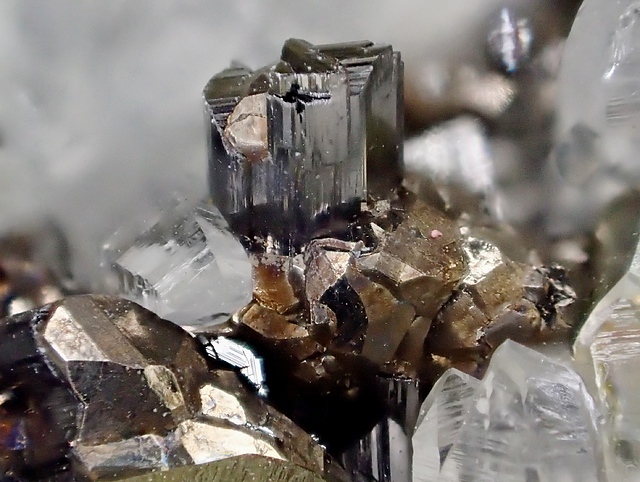 Colusite, Enargite, Pyrite, Quartz