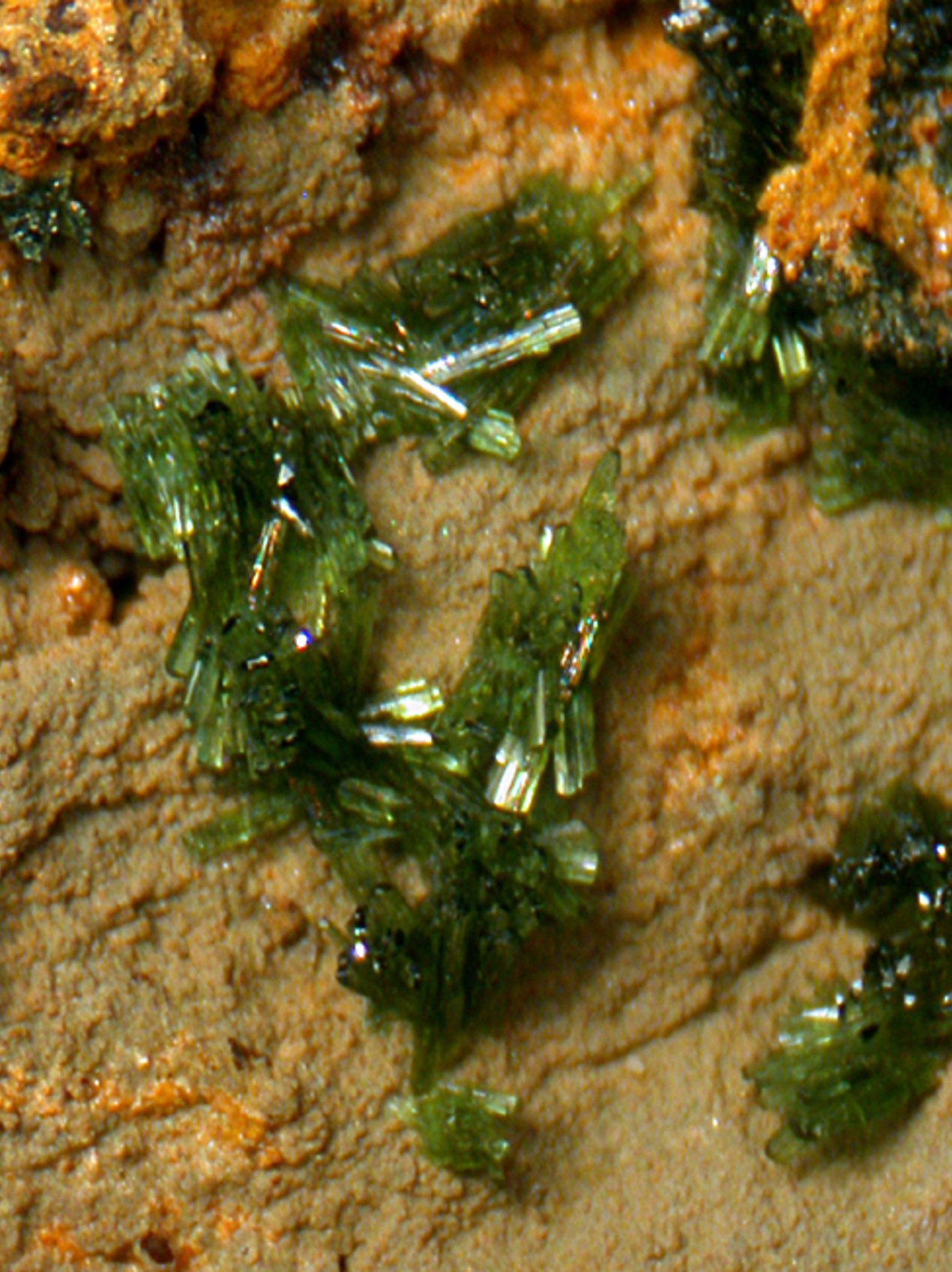 Cap Garonne Mine, Le Pradet, Toulon, Var, Provence-Alpes-Côte d'Azur ...
