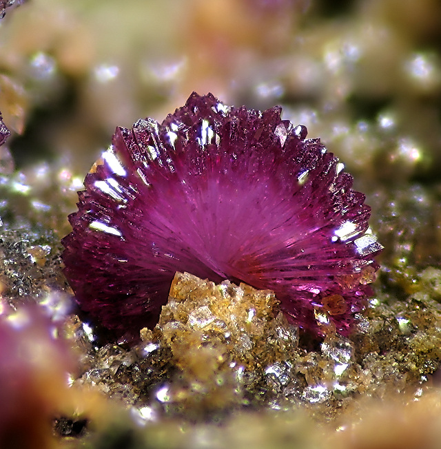 Strengite