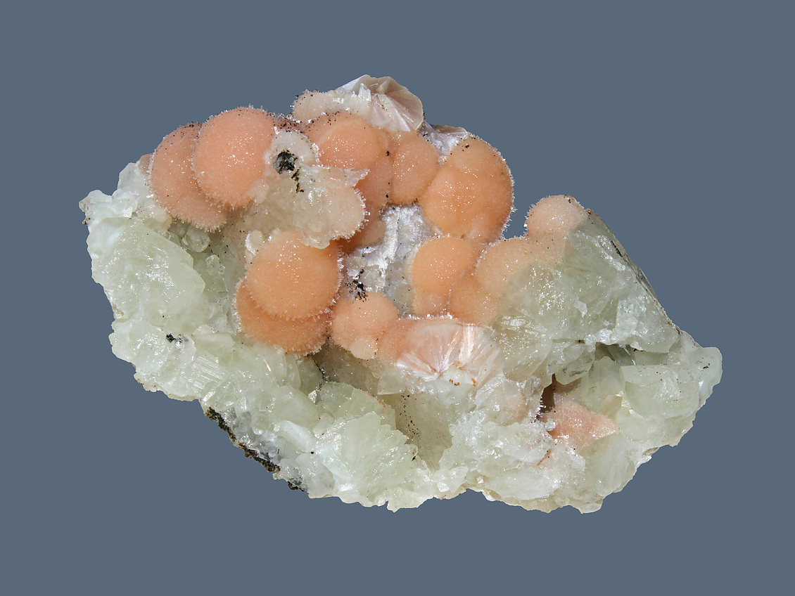 © Frank A. Imbriacco III