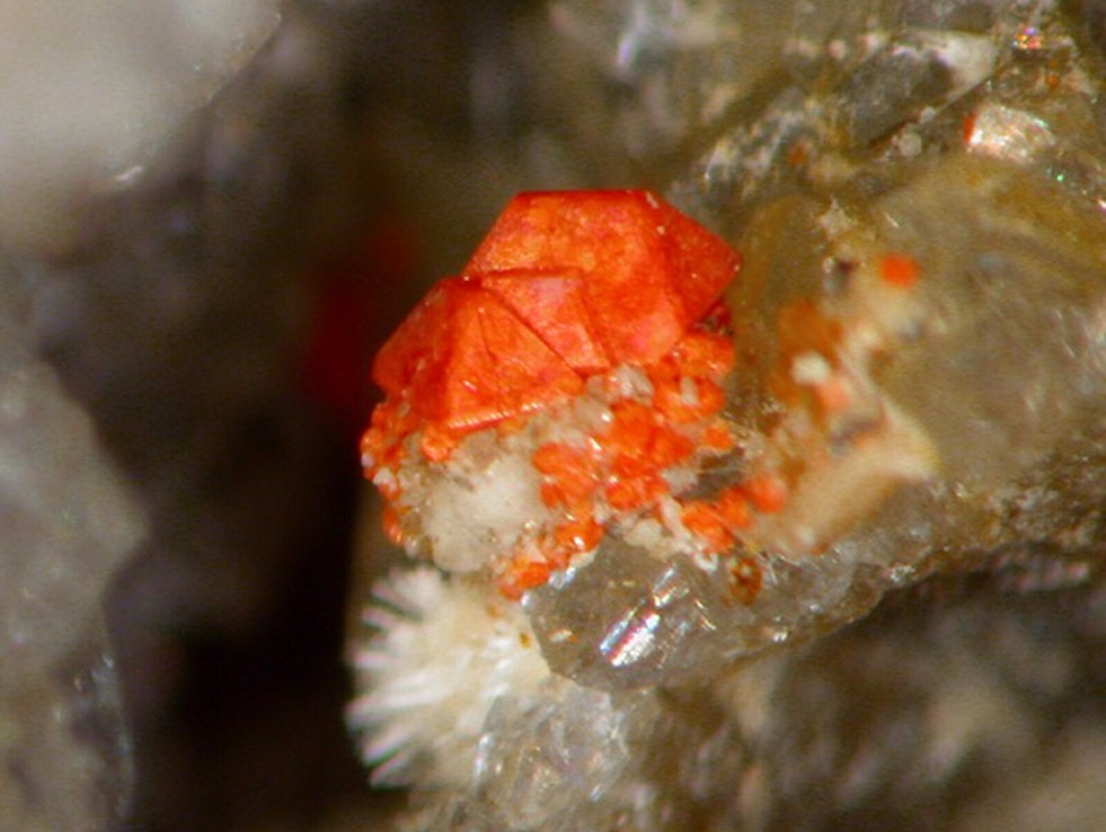 Frongoch Mine, Pontrhydygroes, Upper Llanfihangell-y-Creuddyn ...