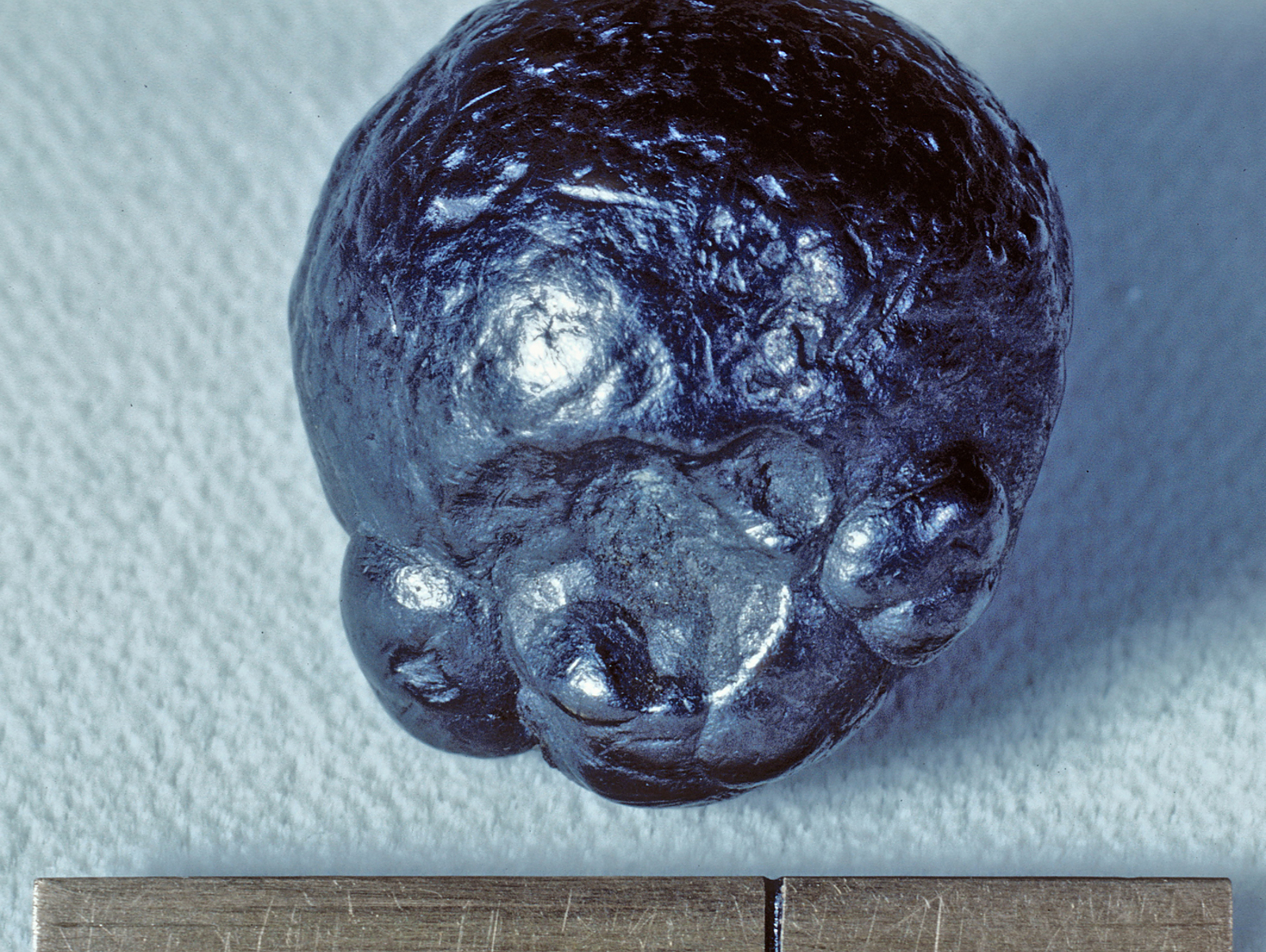 Ledge Road, Windham, Rockingham County, New Hampshire, USA